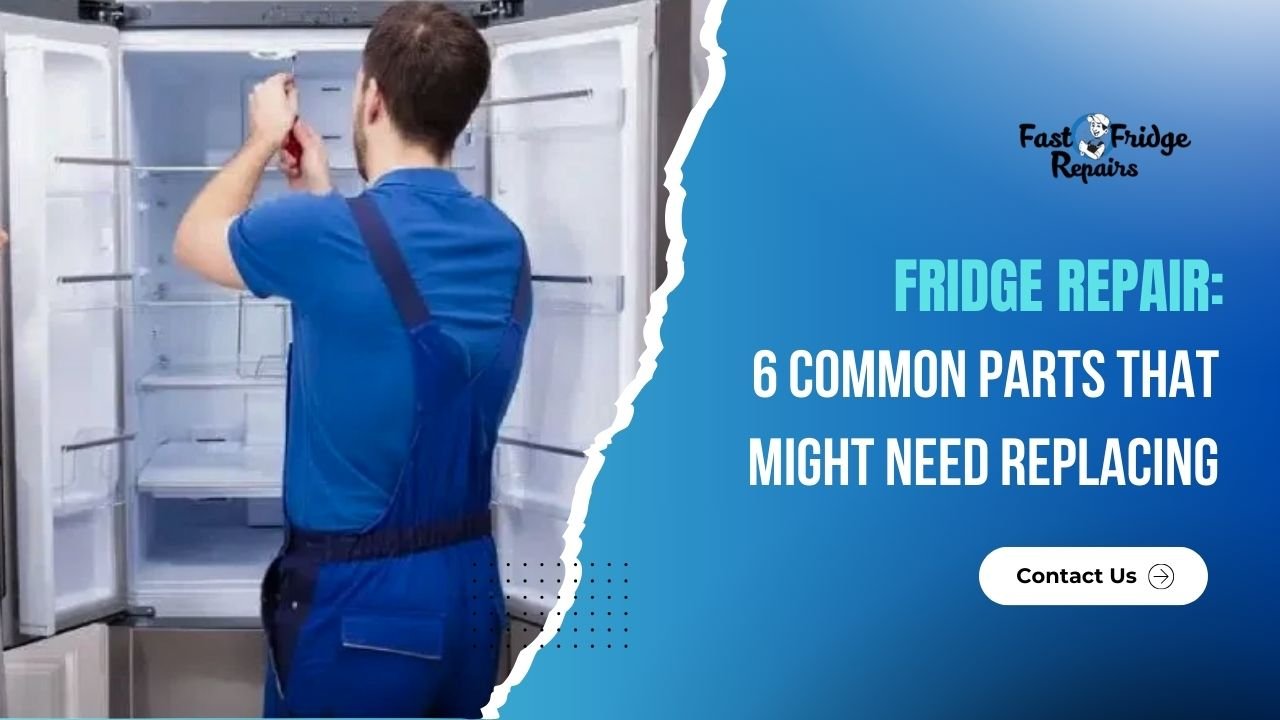 6 Components That May Need Replacement When You Call for Fridge Repairs